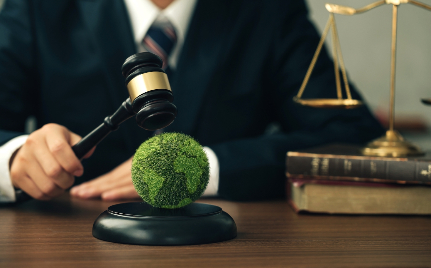 New carbon credit integrity assessment opens for applications - ES ...