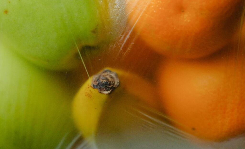 Here's a 'significant step' to halve food waste by 2030 - ES Management ...