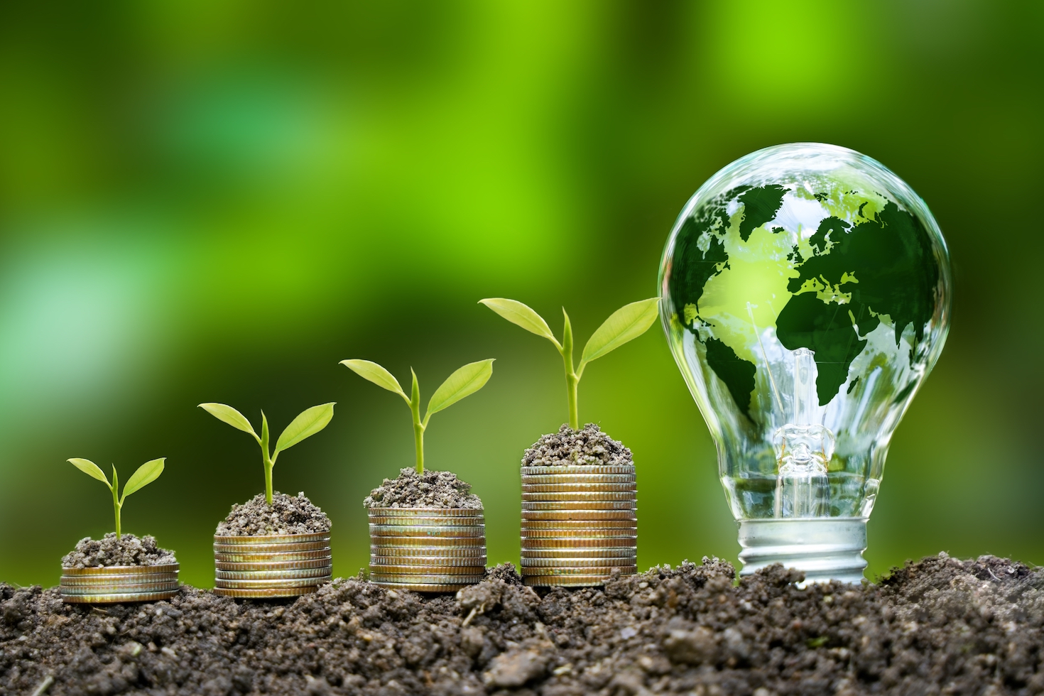 Investors should look to the Global South to scale climate solutions ...