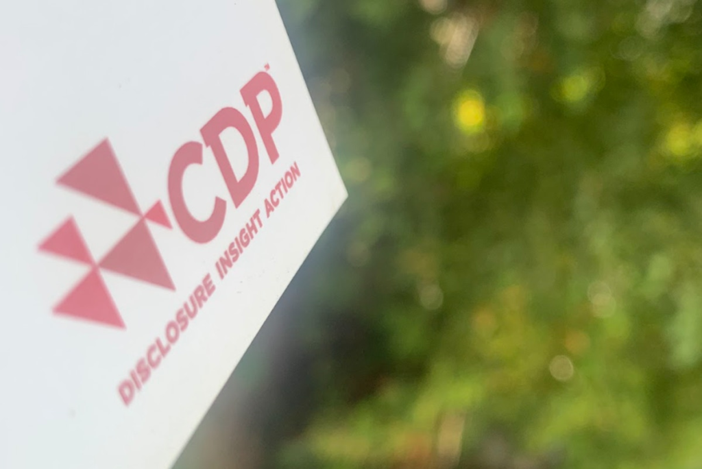 CDP restructure sees power shift away from Asia as regional roles axed ...