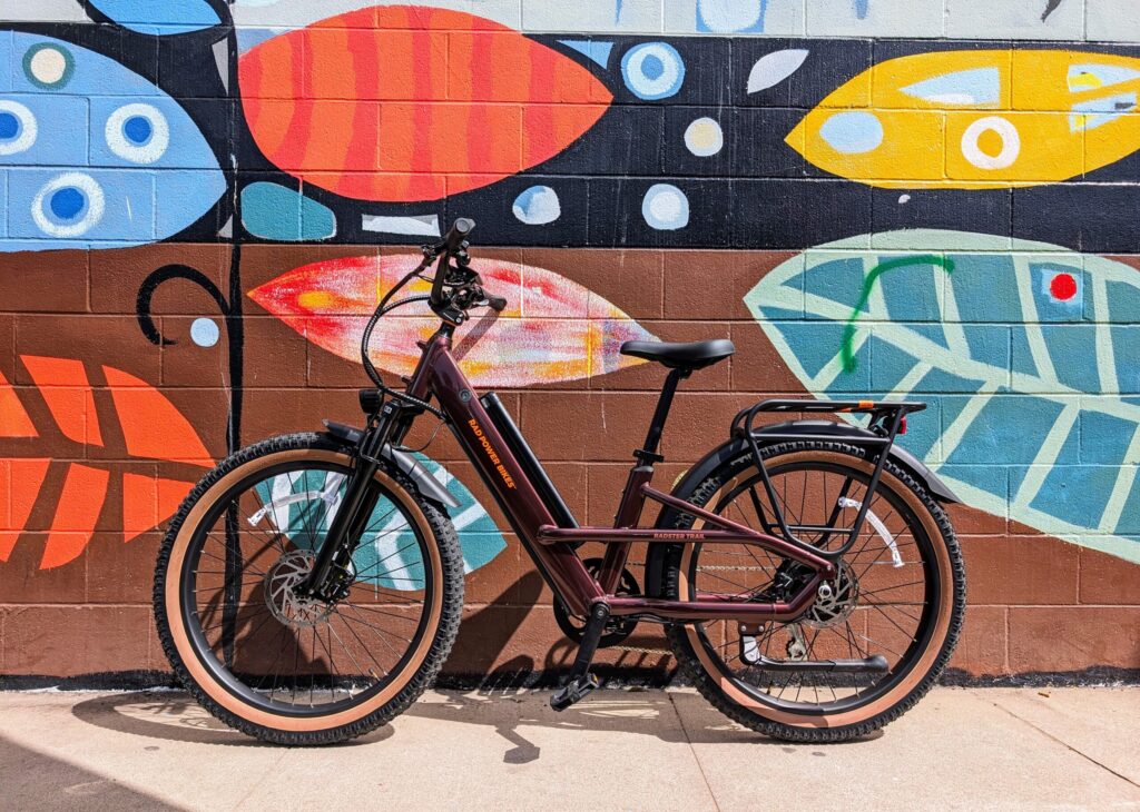 The Rad Power Bikes Radster Trail — CleanTechnica Tested - ES ...