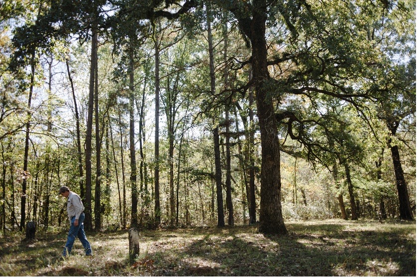 Protecting forests through better forest management - ES Management Pte Ltd