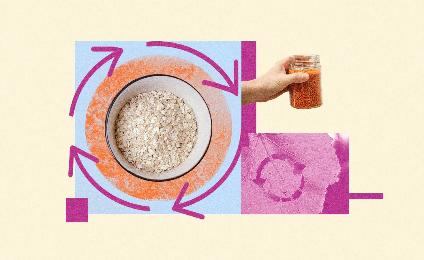 12 innovative circular economy startups in 2024 - ES Management Pte Ltd