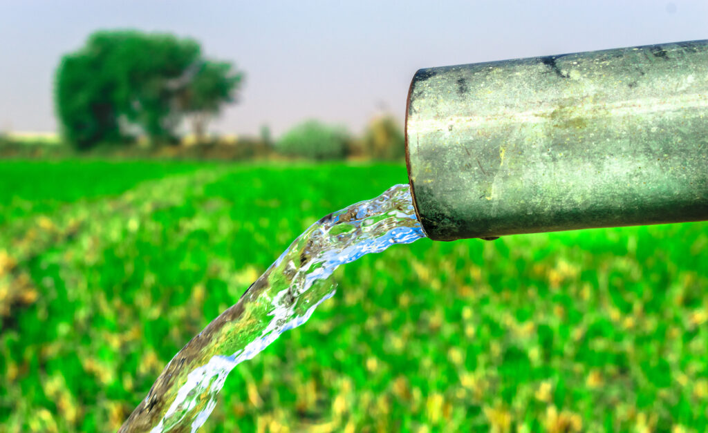 How the food industry is working to protect freshwater ecosystems - ES ...