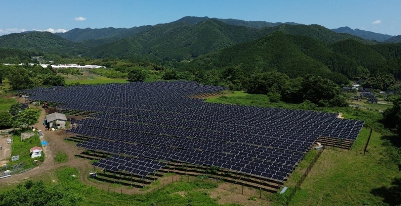 New Agrivoltaic Project Pairs High-Tech Solar Panels With Shrimp-Shaped ...